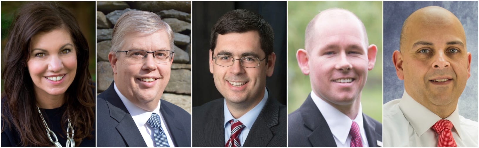 New legislators with local government backgrounds elected ...