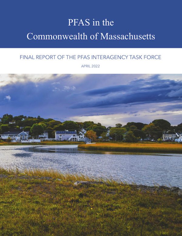 PFAS task force recommends policy framework to address health ...