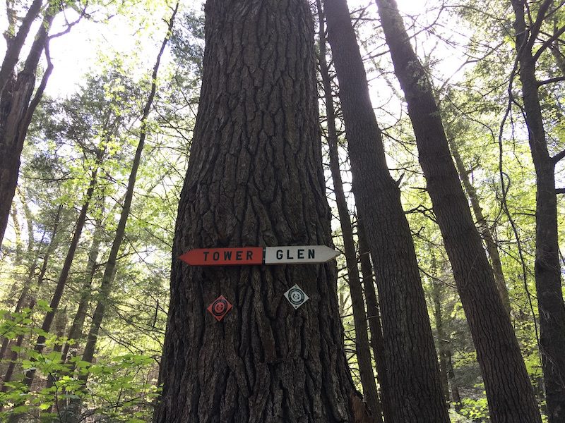 Stockbridge uses GPS mapping, local expertise to save old-growth trees ...