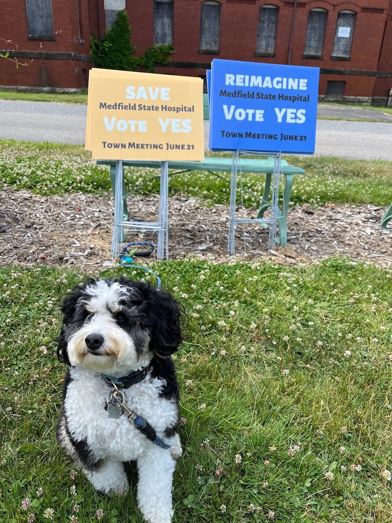 Planning, community engagement shape Medfield State Hospital ...