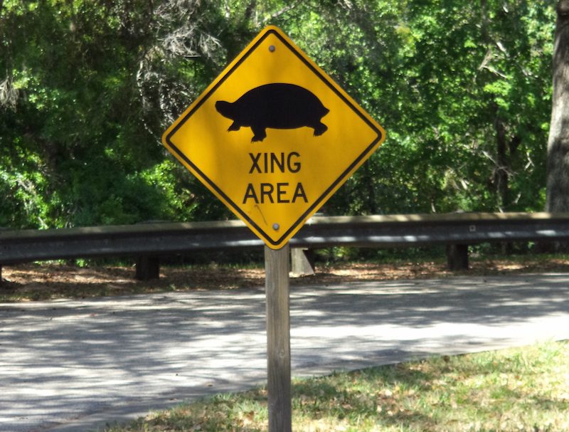 Grants available to reduce wildlife-vehicle collisions, connect ...