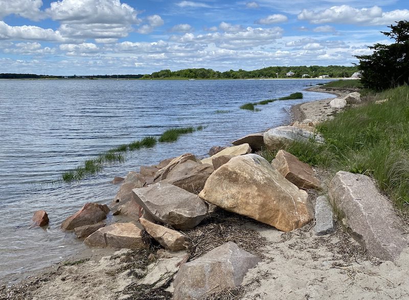 EPA grants available for habitat restoration, ecosystem protection ...