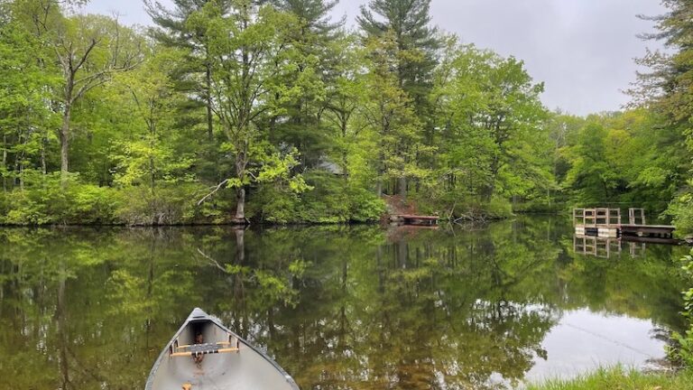 Worcester assesses ‘State of the Lakes,’ tackles water-quality ...