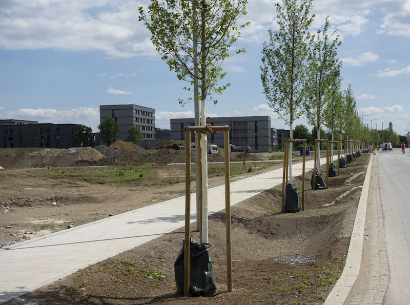 State to expand tree plantings in environmental justice communities ...