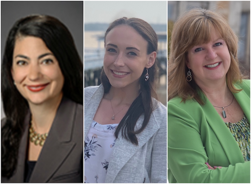 MSA to hold free training for newly elected select board members ...