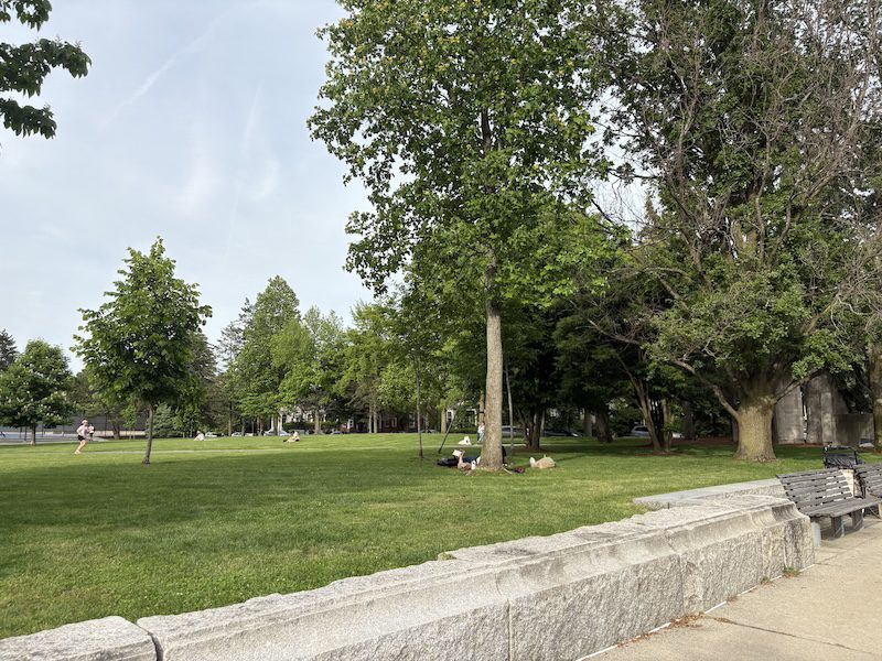 Why trees matter for municipalities - Massachusetts Municipal ...